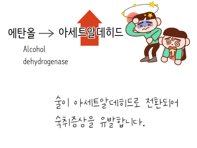 메트로니다졸 항생제 먹고 술 며칠간 마시면 안될까요후라시닐 로도질 네이버 블로그