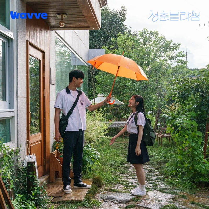 청춘블라썸 후기 결말 풋풋한 웨이브 드라마 추천 네이버 블로그