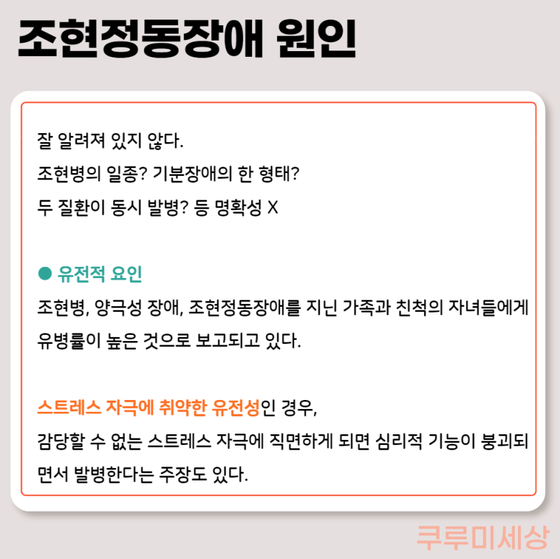 이상심리학 기타 조현병 스펙트럼장애 조현정동장애schizoaffective Disorder 네이버 블로그