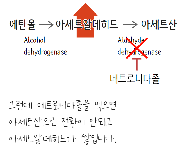 메트로니다졸 항생제 먹고 술 며칠간 마시면 안될까요후라시닐 로도질 네이버 블로그