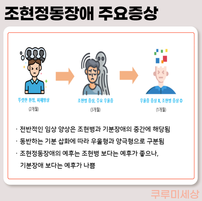 이상심리학 기타 조현병 스펙트럼장애 조현정동장애schizoaffective Disorder 네이버 블로그