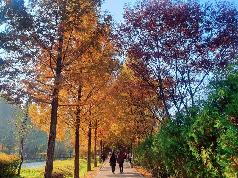 오산 물향기수목원가을풍경이 예쁜 물향기수목원 가족나들이명소~ 네이버 블로그