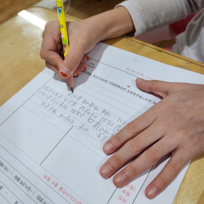 초등 제주도 가족여행 교외체험학습 보고서 기간과 작성법 네이버 블로그