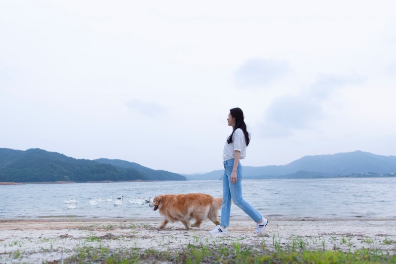 알짜닷컴 11월추천강좌 보육교사힐링 심신안정 스트레스관리 감정노동 직무스트레스 건강관리 네이버 블로그