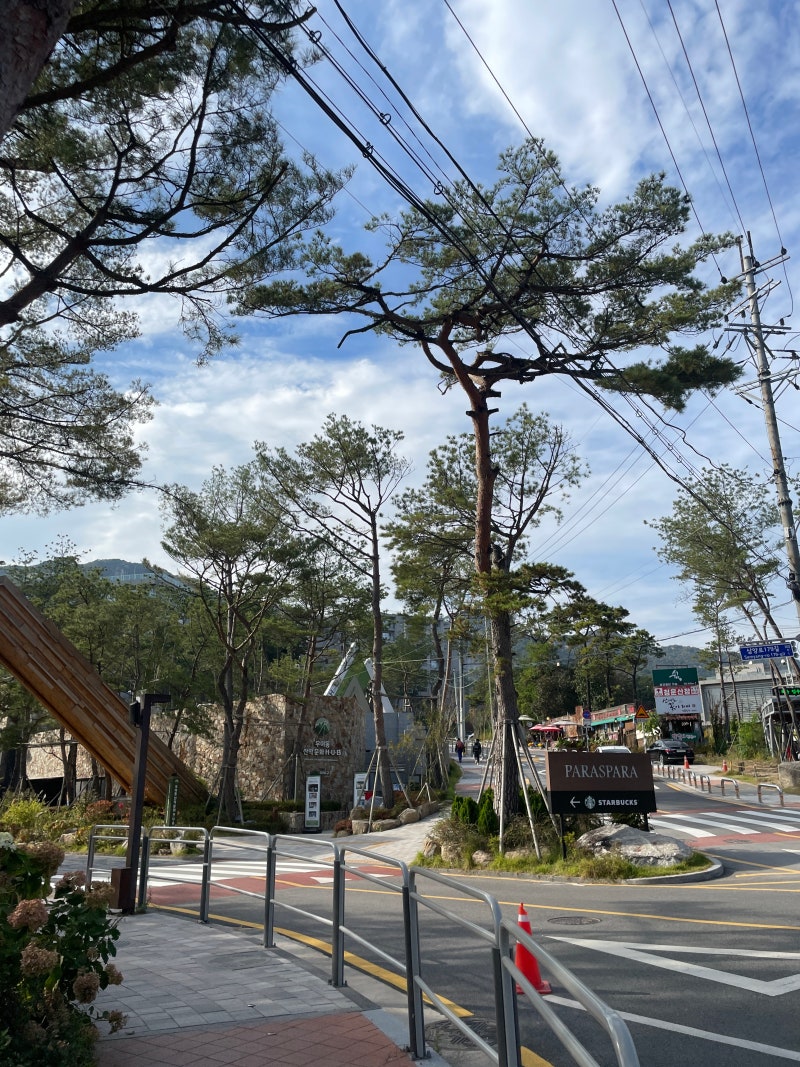 서울호텔 북한산 자락에서 온가족이 다함께 즐기는 호캉스숲캉스 파라스파라 서울 Paraspara Seoul 파윈스위트
