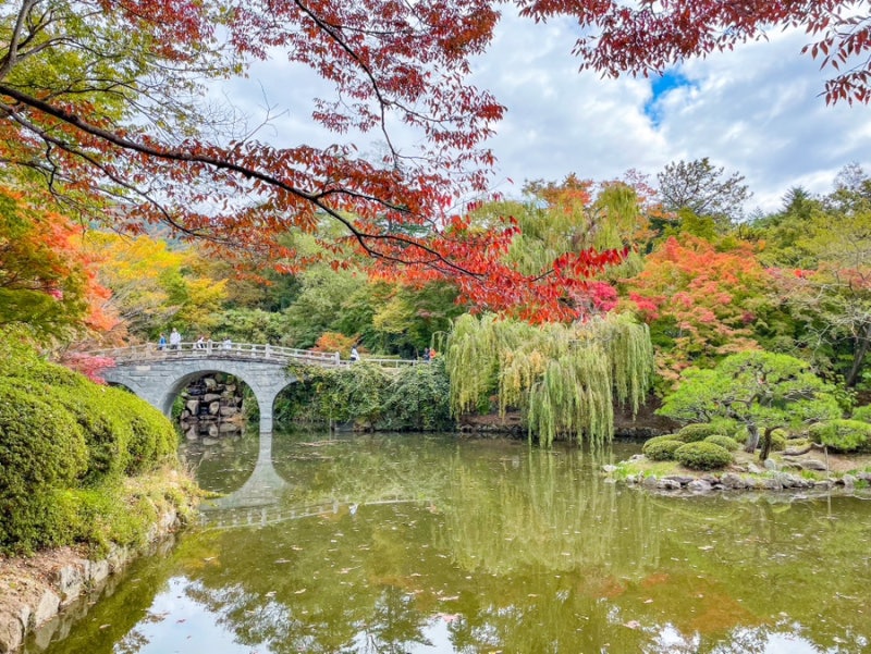 경주 불국사 단풍구경 지금이 절정 경북 단풍 명소 사찰 네이버 블로그