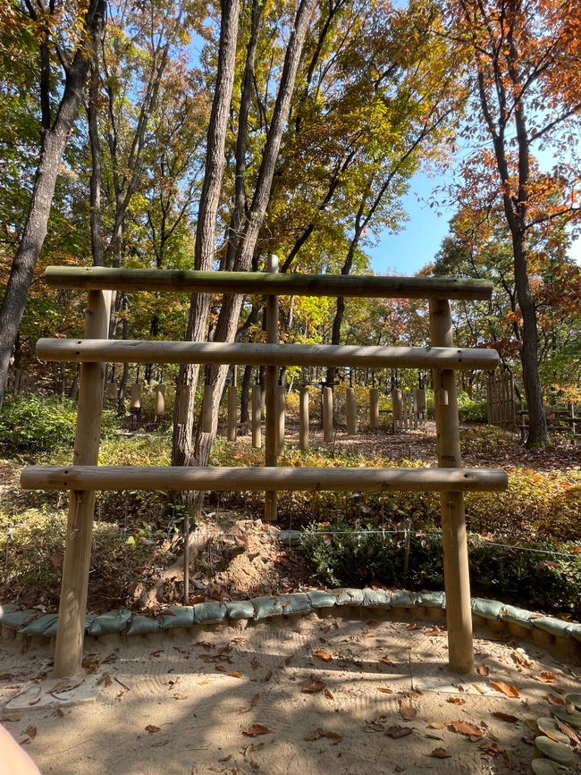 안양 숲에서 자연과 놀자 안양 유아 숲 체험원 네이버 블로그