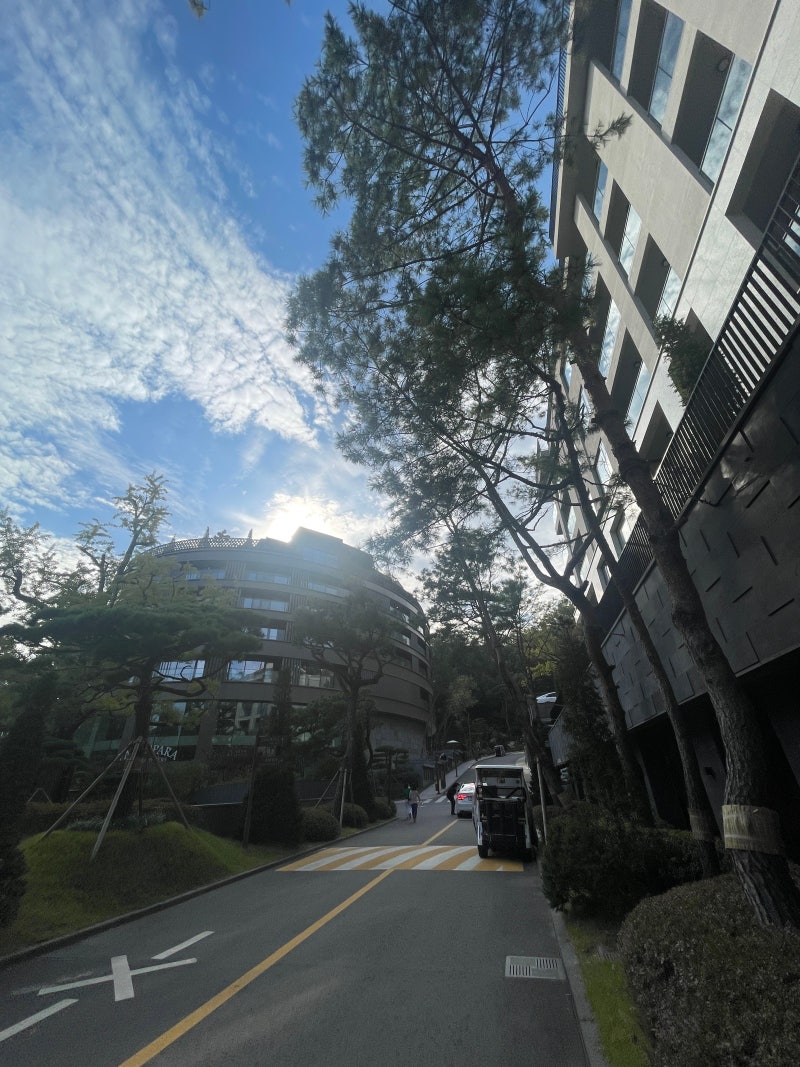 서울호텔 북한산 자락에서 온가족이 다함께 즐기는 호캉스숲캉스 파라스파라 서울 Paraspara Seoul 파윈스위트