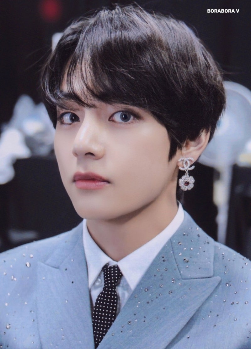 BTS V, #1 boy idol "Boy Idol Who Want to Go See the Fall foliage ...