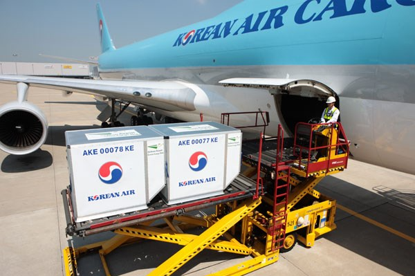 [항공탑재용기] ULD (Unit Load Device) 종류와 사이즈가 이렇게 다양하다니??!! : 네이버 블로그