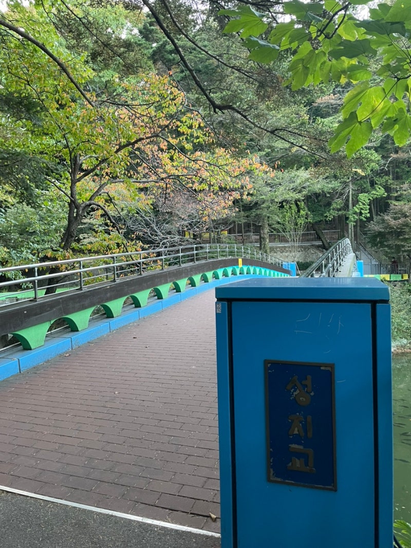 부산 단풍 명소 어린이대공원 성지곡수원지 가을 단풍놀이 산책코스 피크닉 가볼만한곳 주차장 유모차 길 네이버 블로그