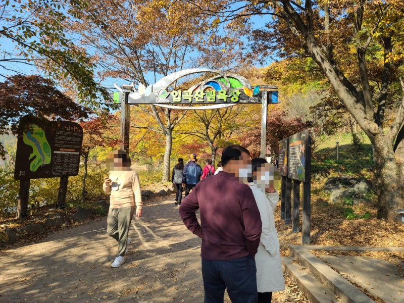 함안 여행 2탄 입곡군립공원 단풍길 부산경남 단풍명소 네이버 블로그