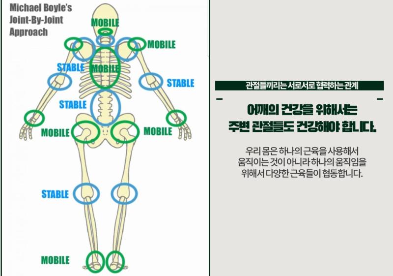 오십견 어깨 통증에서 벗어나는 방법은 주변 관절의 움직임을 좋게 만드는 것부터 시작하세요 세종체형교정보람동pt소담동헬스