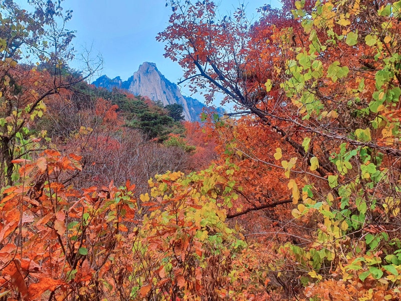 도봉산 신선대최단등산코스 도봉산역 석굴암 신선대정상 마당바위 도봉산역~ 네이버 블로그