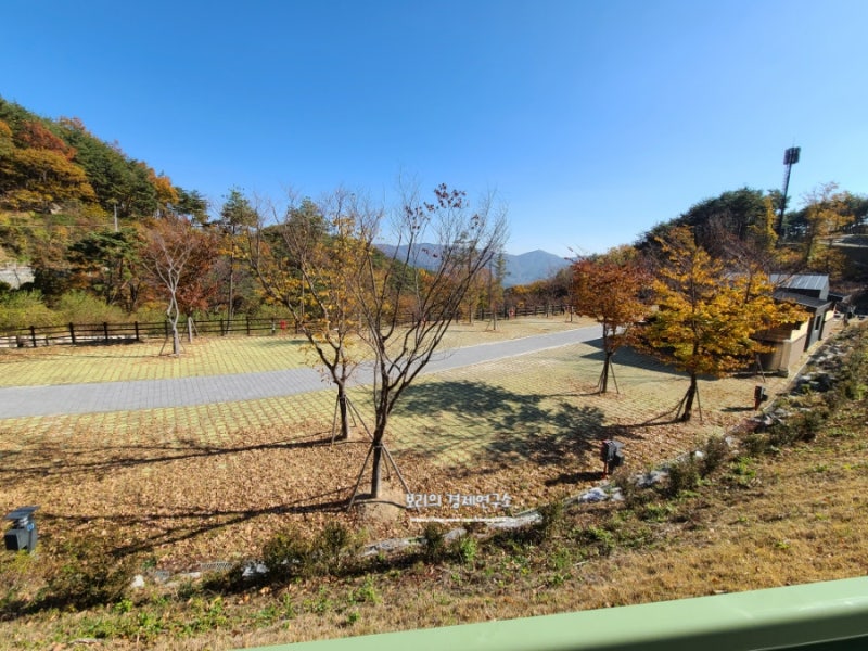 청도 자연휴양림 숲속의 집 가격 예약일 사과 1호 2박 3일 여행 후기 네이버 블로그