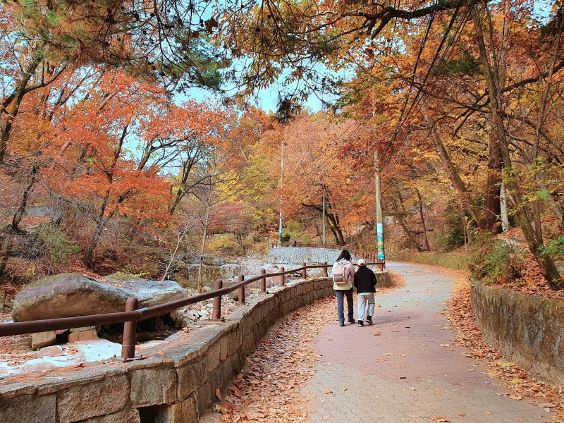 도봉산 신선대최단등산코스 도봉산역 석굴암 신선대정상 마당바위 도봉산역~ 네이버 블로그