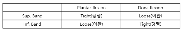 외측 발목 인대 해부학 / 전거비인대(ATFL), 종비인대(CFL), 후거비인대(PTFL), ankle sprain(발목염좌 ...
