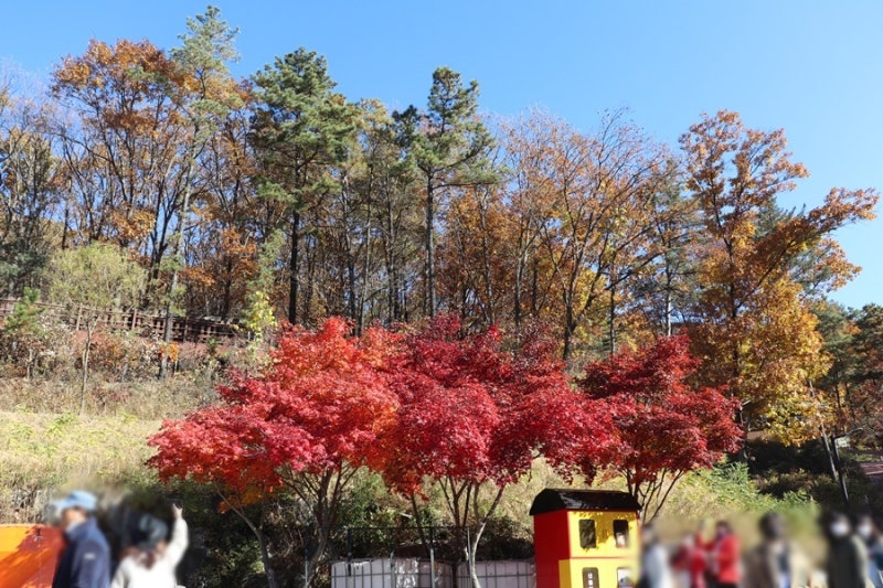 서울 근교 의왕 가볼만한곳 바라산 자연휴양림 절 호수 공원 핑크뮬리 외 네이버 블로그