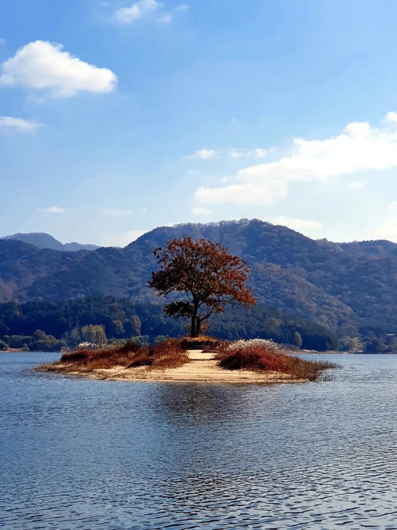 대전근교여행 산책에 명소 대청호 오백리길 트레킹코스 추천 네이버 블로그