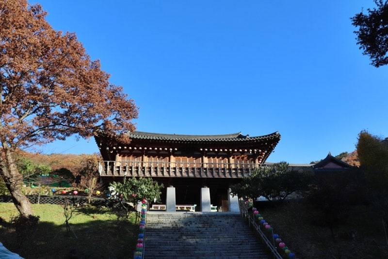 서울 근교 의왕 가볼만한곳 바라산 자연휴양림 절 호수 공원 핑크뮬리 외 네이버 블로그