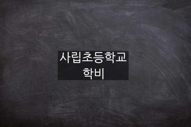 사립 초등학교 열풍 전국 사립 초등학교 위치 리스트 입학 학비 순위 네이버 블로그