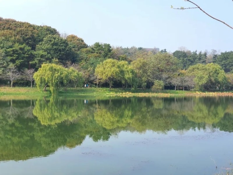 군산 은파호수공원 산책하기 좋은 군산 가볼만한곳 네이버 블로그