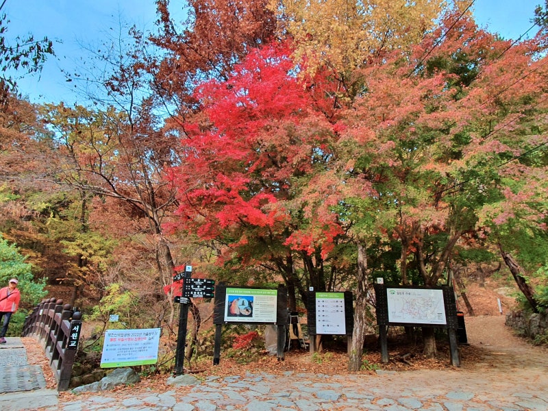 도봉산 신선대최단등산코스 도봉산역 석굴암 신선대정상 마당바위 도봉산역~ 네이버 블로그