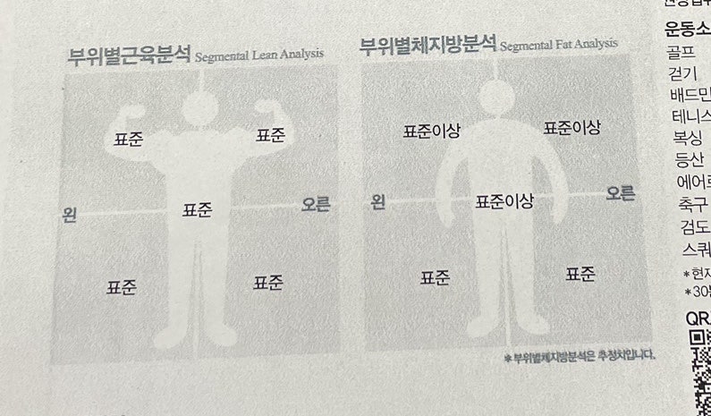 낙성대 헬스장 오짐o Gym 체형분석까지 제대로 해주는 낙성대 Pt 네이버 블로그
