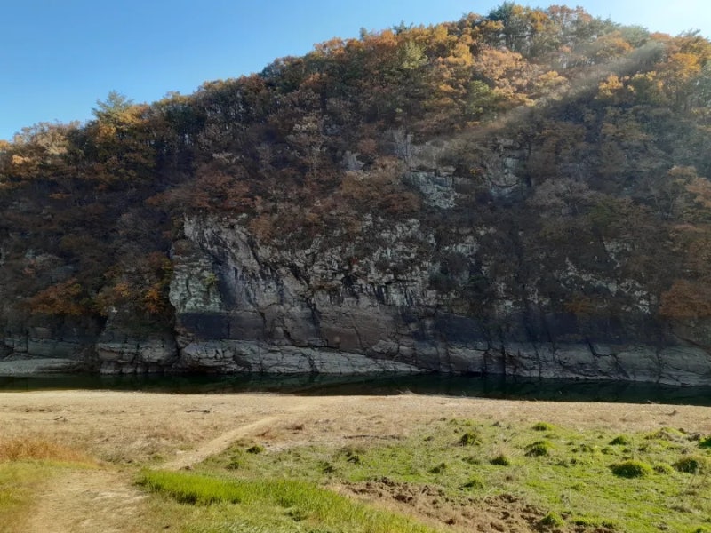 울산 암각화 박물관과 울주 대곡리 반구대 암각화 공룡발자국 네이버 블로그