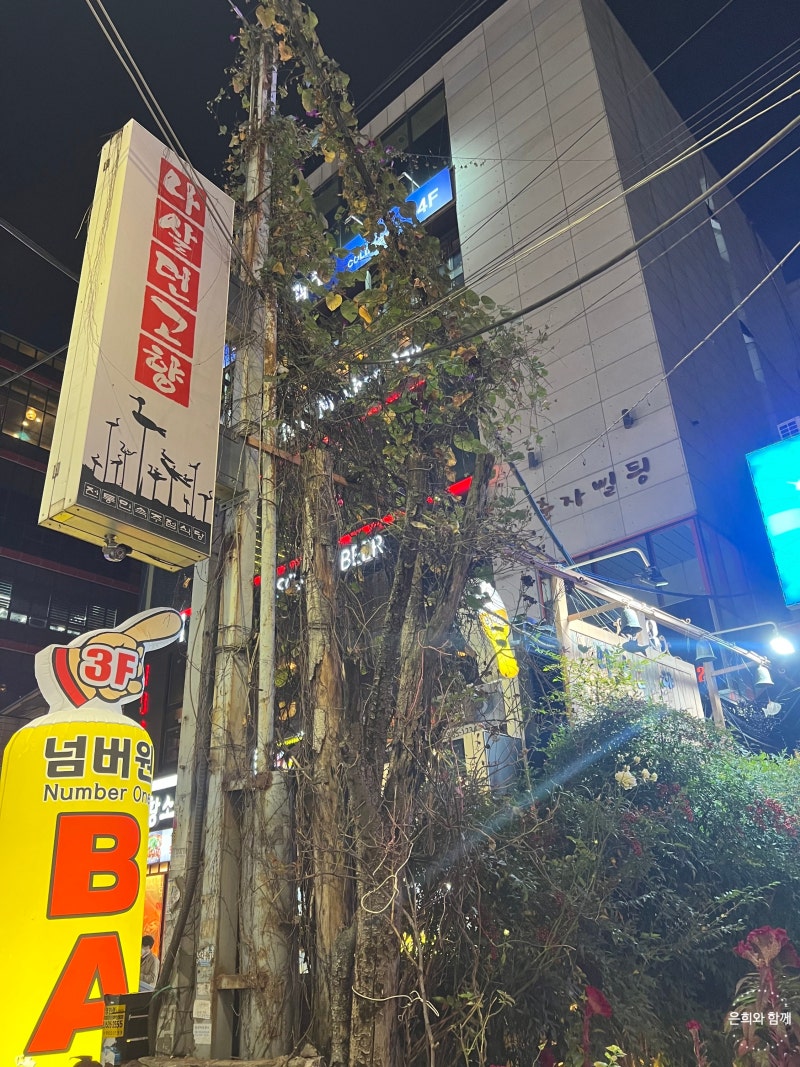 구로디지털단지 술집 야장 가능한 안주 맛집 구디 나살던고향 네이버 블로그