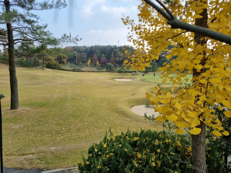 2동탄 첫입주 주상복합 아파트 동탄역 헤리엇 전세로 살아보세요 네이버 블로그
