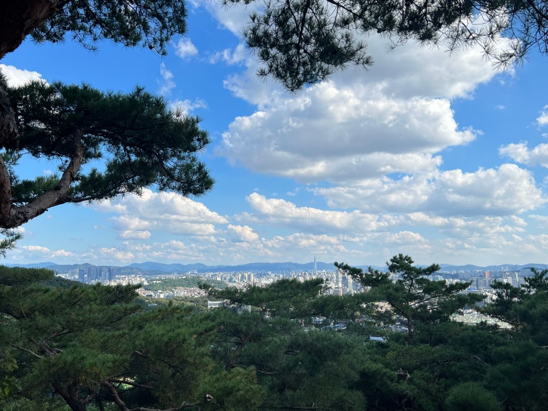 서울 북악산 청와대 등산로｜서울 초보 등산 코스 네이버 블로그