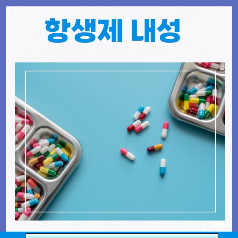 항생제 부작용 종류 술 내성 커피 설사 우유 알레르기 네이버 블로그