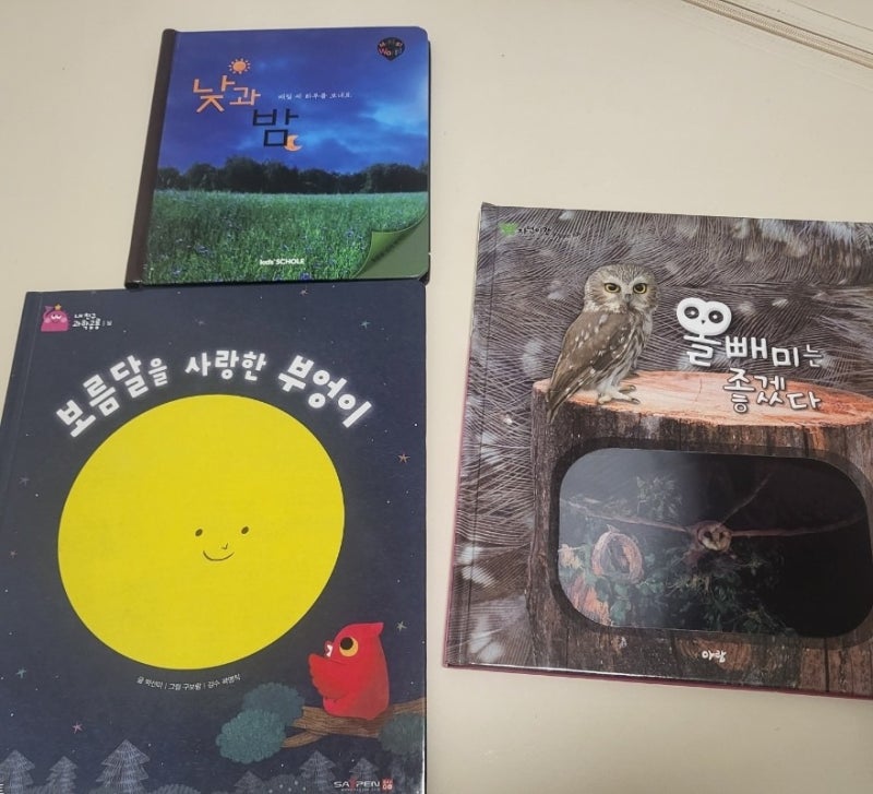 키즈스콜레 그물독서1 마이퍼스트월드낮과밤 과학공룡 보름달을 사랑한 부엉이아람자연이랑올빼미 네이버 블로그