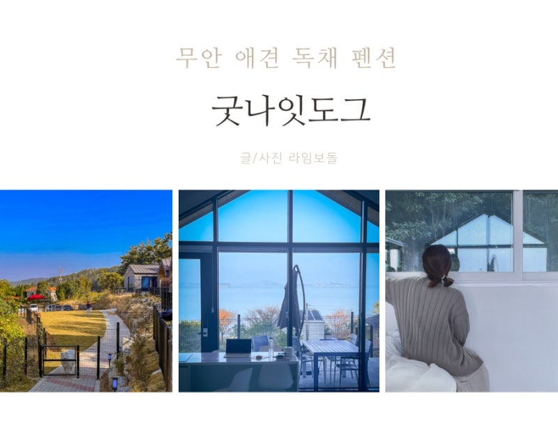 무안 독채 펜션 굿나잇도그 전라도 애견 동반 숙소 네이버 블로그