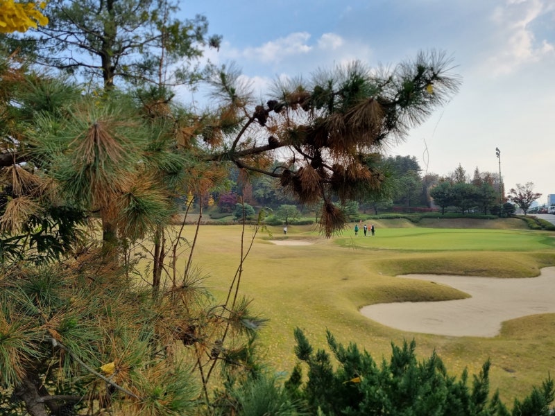 2동탄 첫입주 주상복합 아파트 동탄역 헤리엇 전세로 살아보세요 네이버 블로그