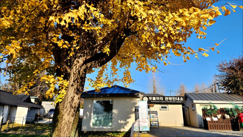 서울근교 드라이브 코스 양평 두물머리 볼거리 늦가을 풍경 네이버 블로그