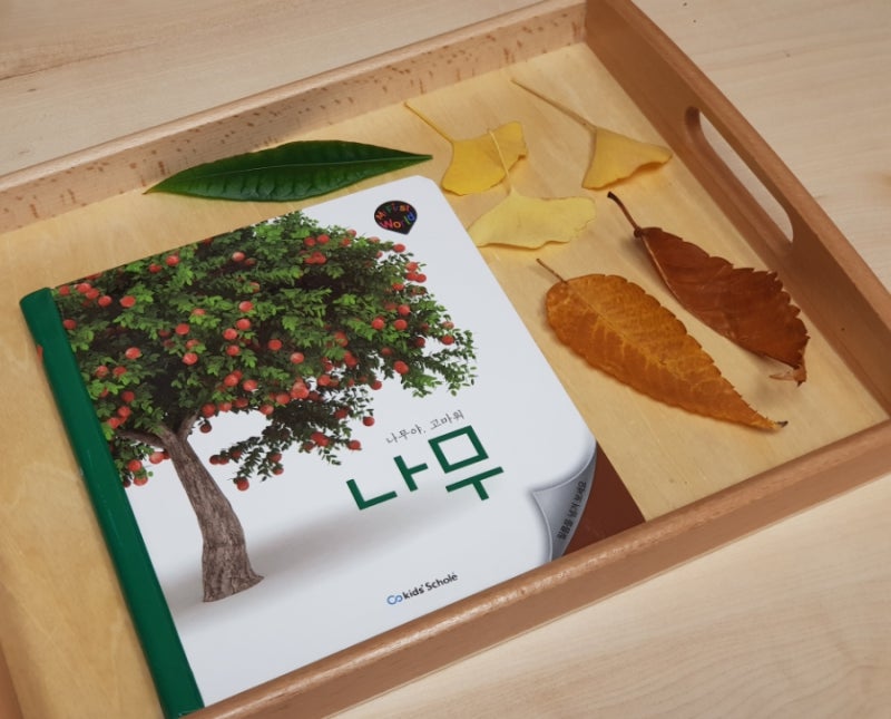 엄마표 유아미술 가을 낙엽 자연물 놀이 알록달록 나뭇잎 And 나뭇잎 도장 네이버 블로그