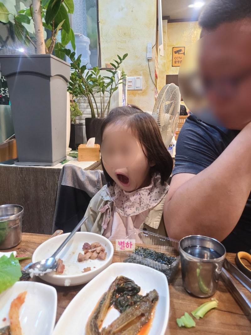 육아일기 48개월 5살 어린이집 생활 네이버 블로그