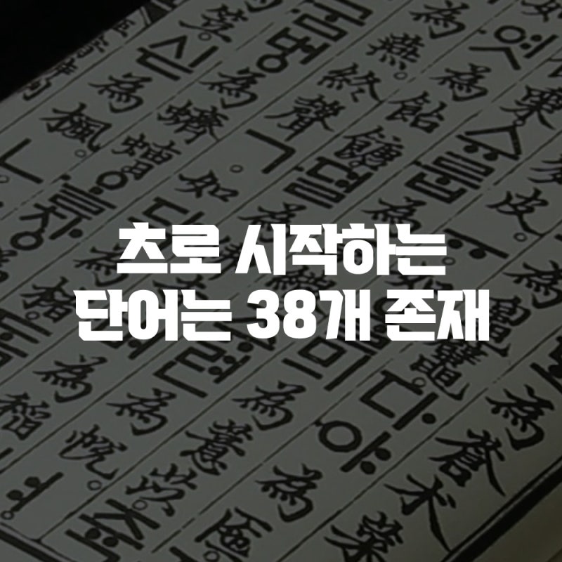 즈츠로 시작하는 단어 끝말잇기 한방단어 정리 네이버 블로그
