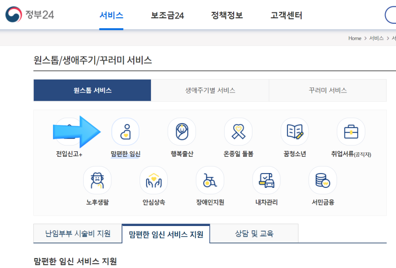 임신일지 서울시 임산부 교통비 지원 신청 방법 Kb국민카드 발급 정부24 네이버 블로그