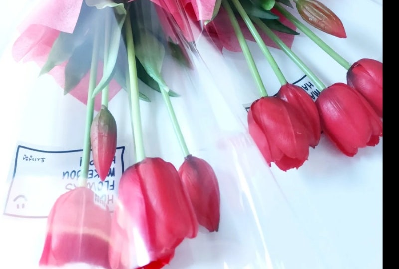 튤립의 꽃말은 사랑의 고백 빼빼로데이 꽃다발 노원 공릉꽃집 도시정원 네이버 블로그