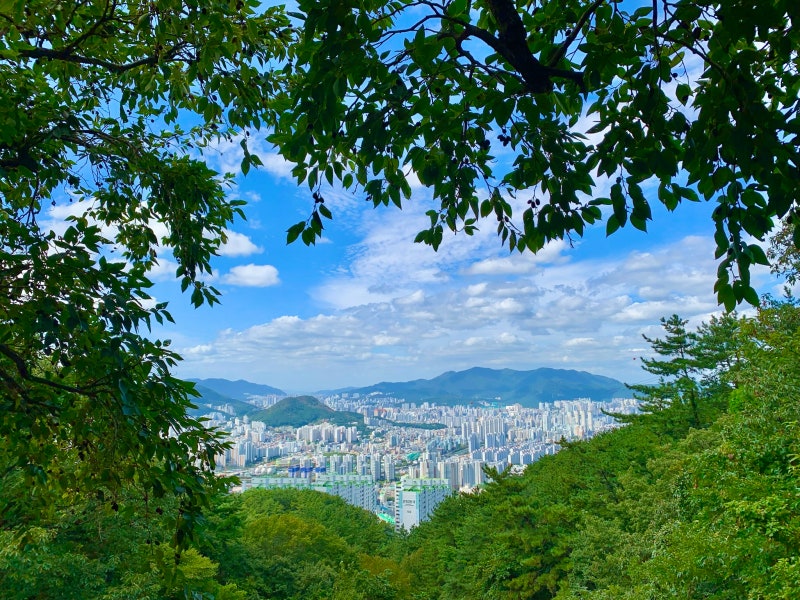 부산 가볼만한곳 부산 등산코스 5곳황령산 장산 승학산 가덕도 연대봉 영도 봉래산 네이버 블로그