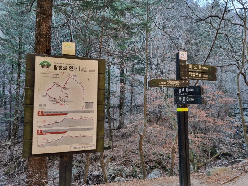 오대산 등산코스 비로봉 상왕봉 월정사 상원사 원점회귀 코스 네이버 블로그
