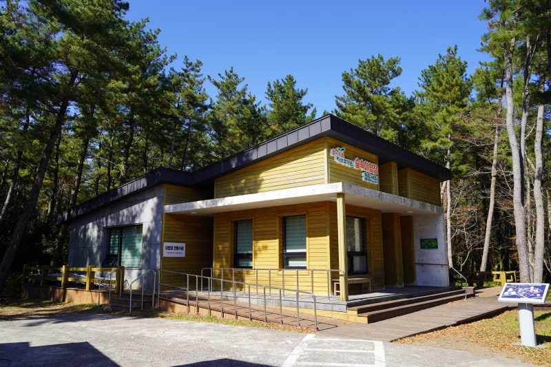 제주 공립 붉은오름자연휴양림 야영장 데크 리뷰 명당자리 추천 네이버 블로그