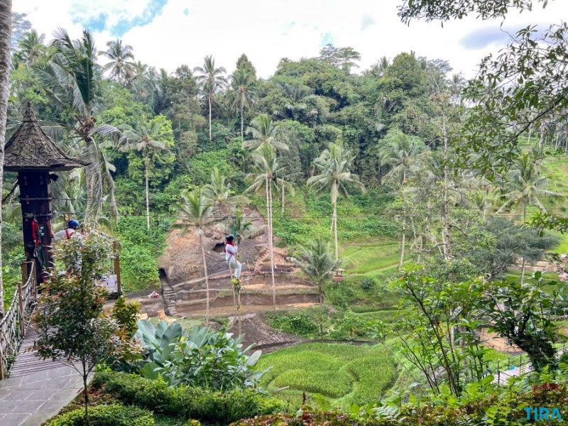 발리 우붓 호텔 프로모션 : 우붓 최고의 핫플 알라스하룸 (Alas Harum) 입장권+발리스윙 제공 : 네이버 블로그