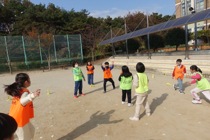 태그 피구신체활동ㅣ강당ㅣ운동장ㅣ놀이ㅣ체육ㅣ피구ㅣ터치ㅣ패스ㅣ태그ㅣ변형피구 네이버 블로그