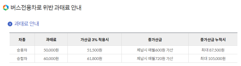 버스전용차로 위반 주정차 위반 과태료 의견진술 및 법원이의신청 네이버 블로그