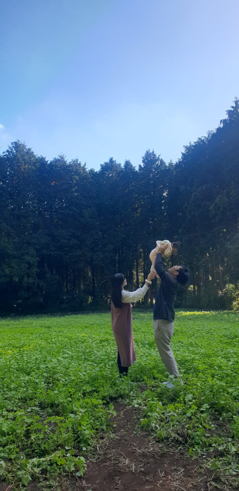 제주2일차 제주 비밀의숲아기랑제주도여행제주동쪽여행지 네이버 블로그