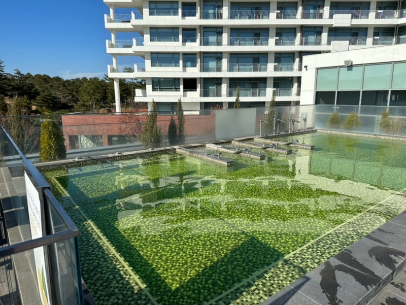 당일치기동해온천여행 (설해 온천 수영 자유이용권, 면역 공방) : 네이버 블로그